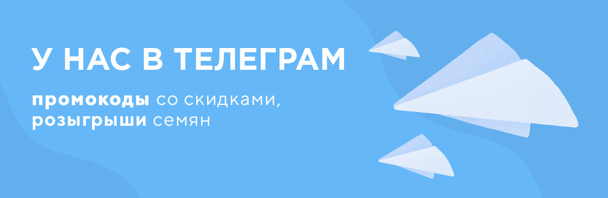 BioSeeds | Купить семена конопли | Самые мощные сорта | Доставка по ...